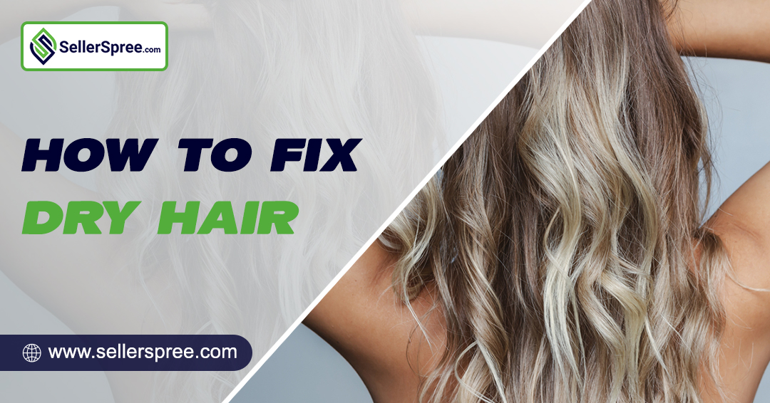 How To Fix Dry Hair? SellerSpree.com