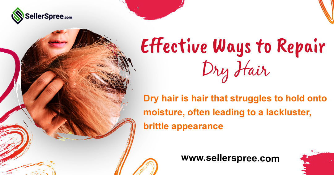Effective Ways to Repair Dry Hair | SellerSpree.com
